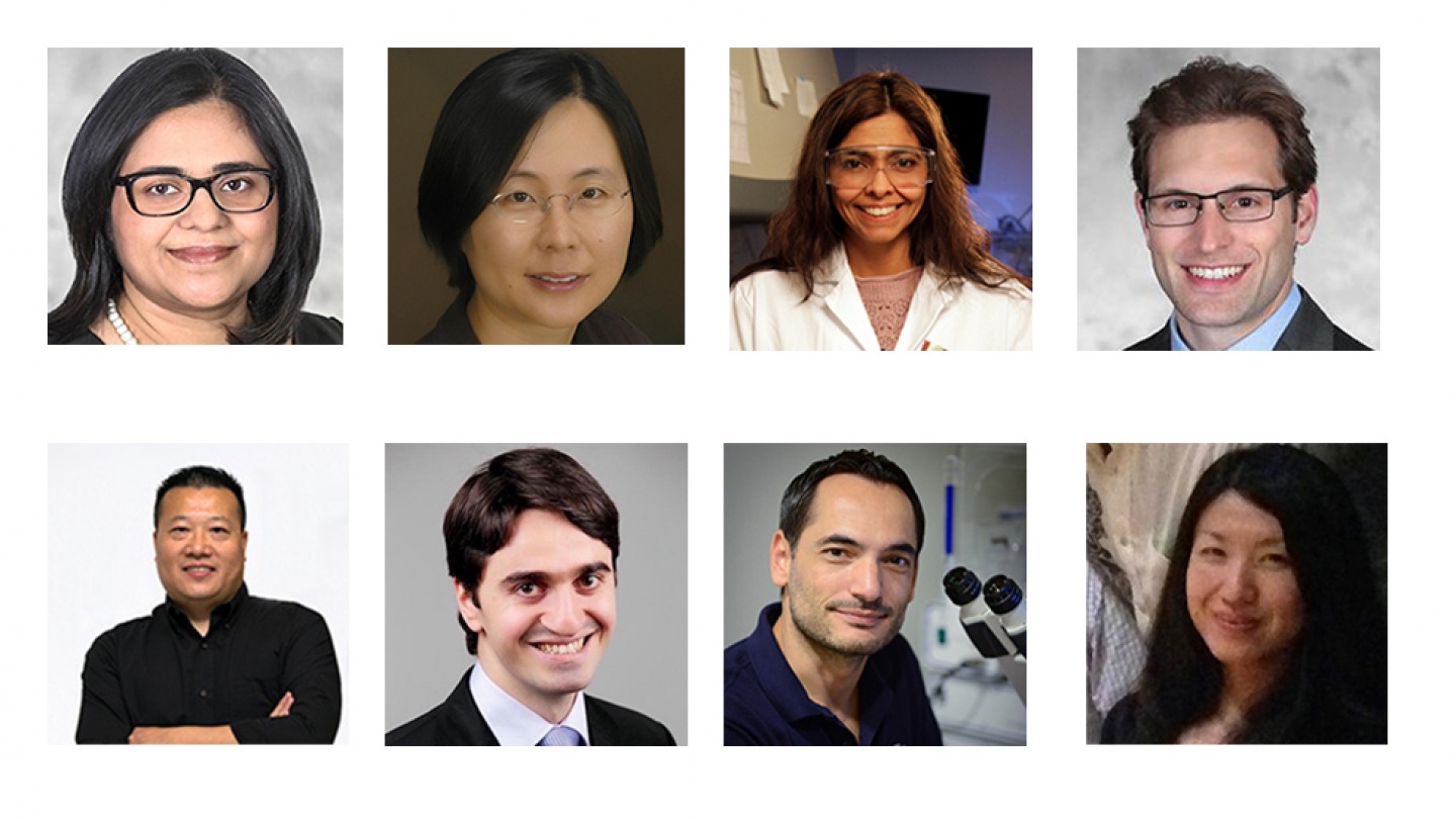 Cancer Center at Brown University funds cancer pilot projects | The ...