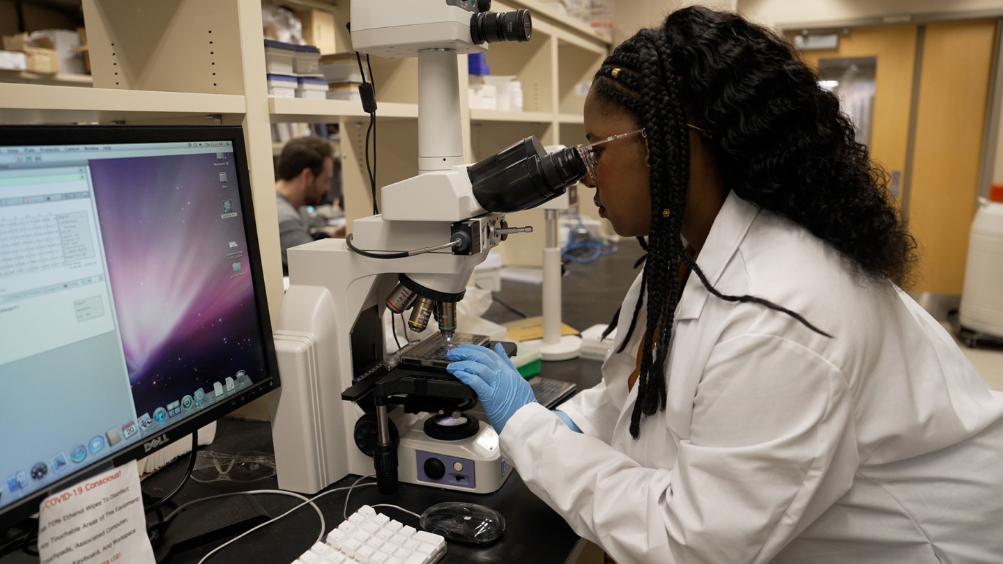 Honors and Grants | The Warren Alpert Medical School of Brown University